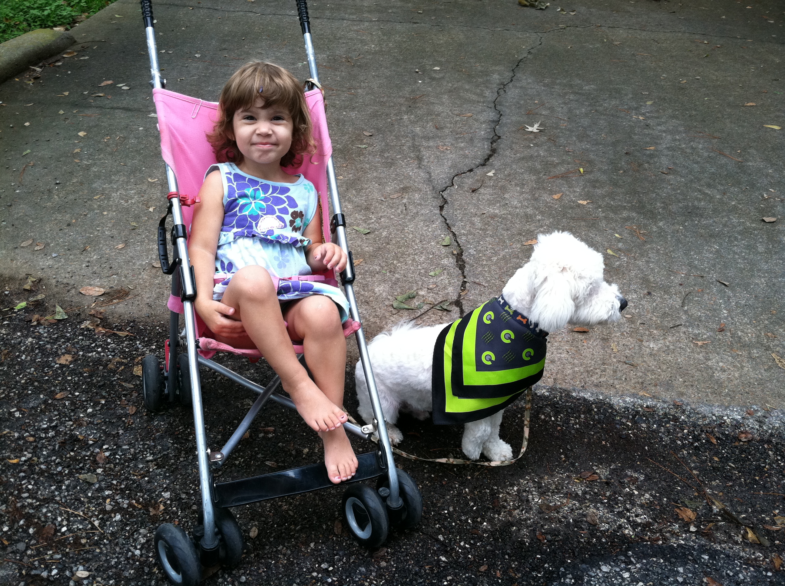 baby and dog going on a walk - A Day in Motherhood