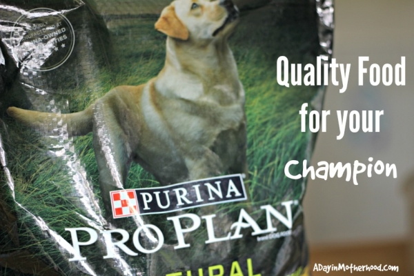Purina Pro Plan Celebrates Your Little Canine Champ