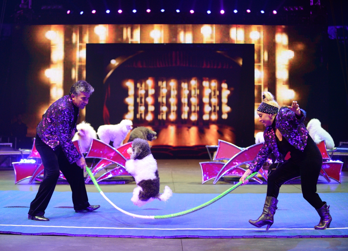 Buy Your Tickets to the UniverSoul Circus NOW