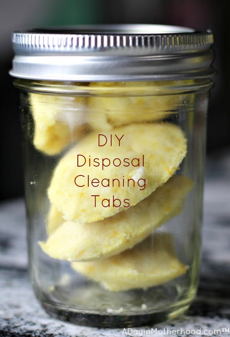 DIY Disposal Cleaning Tabs Recipe