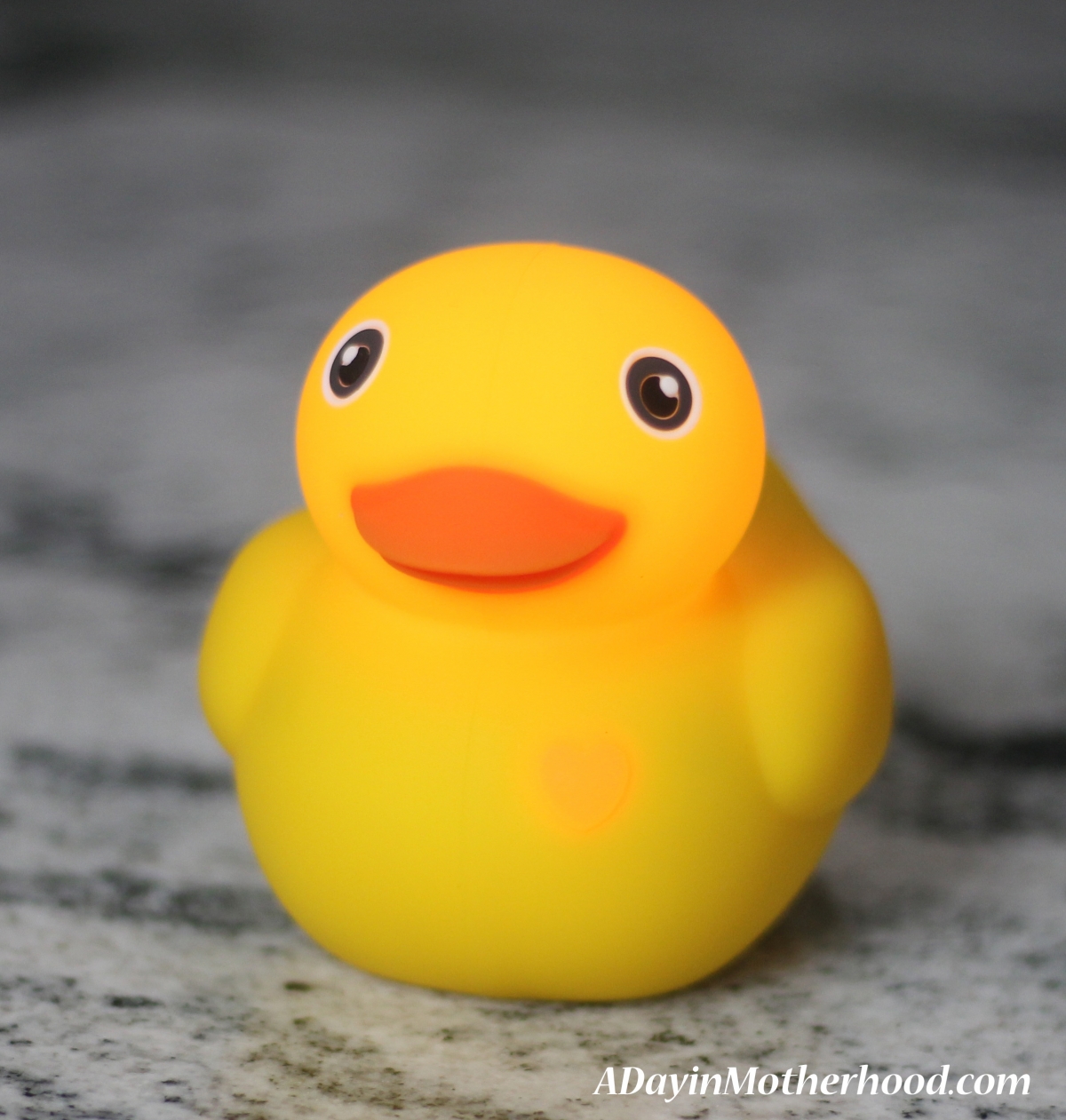 Edwin the Duck, the World’s First Smart Duck, is a Perfect Family Gift