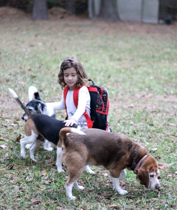 FINDING FIDO is the Matchmaking Show you WANT to Watch + Show off Your ...