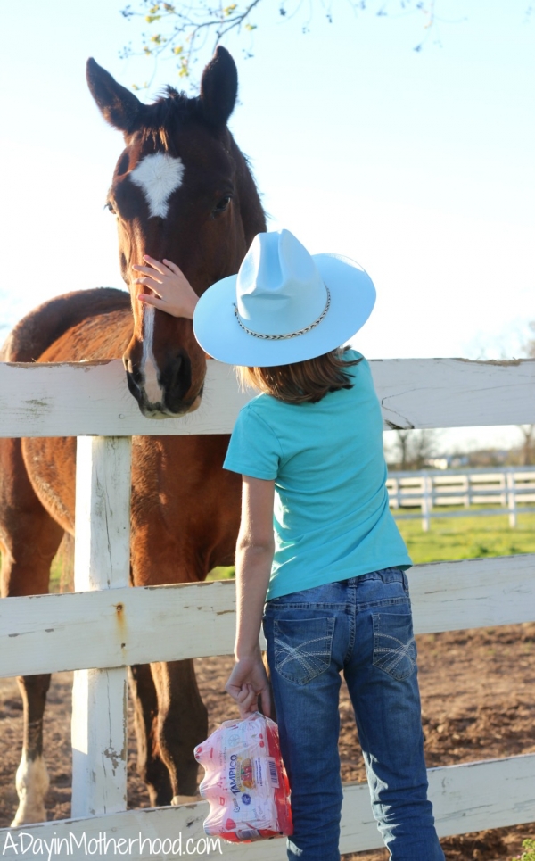 4 Ways Horseback Riding for Kids Colors Their Confidence + Tampico's ...