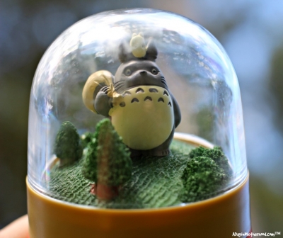 The Apollo Box offers Creative & Unique Gifting + 15% off Code