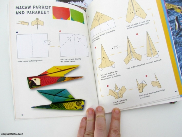 All In One Origami Kits Review