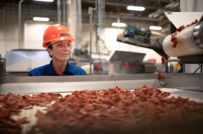 Walking a Dog Food Manufacturing Plant: What I Learned About Our Pet Food